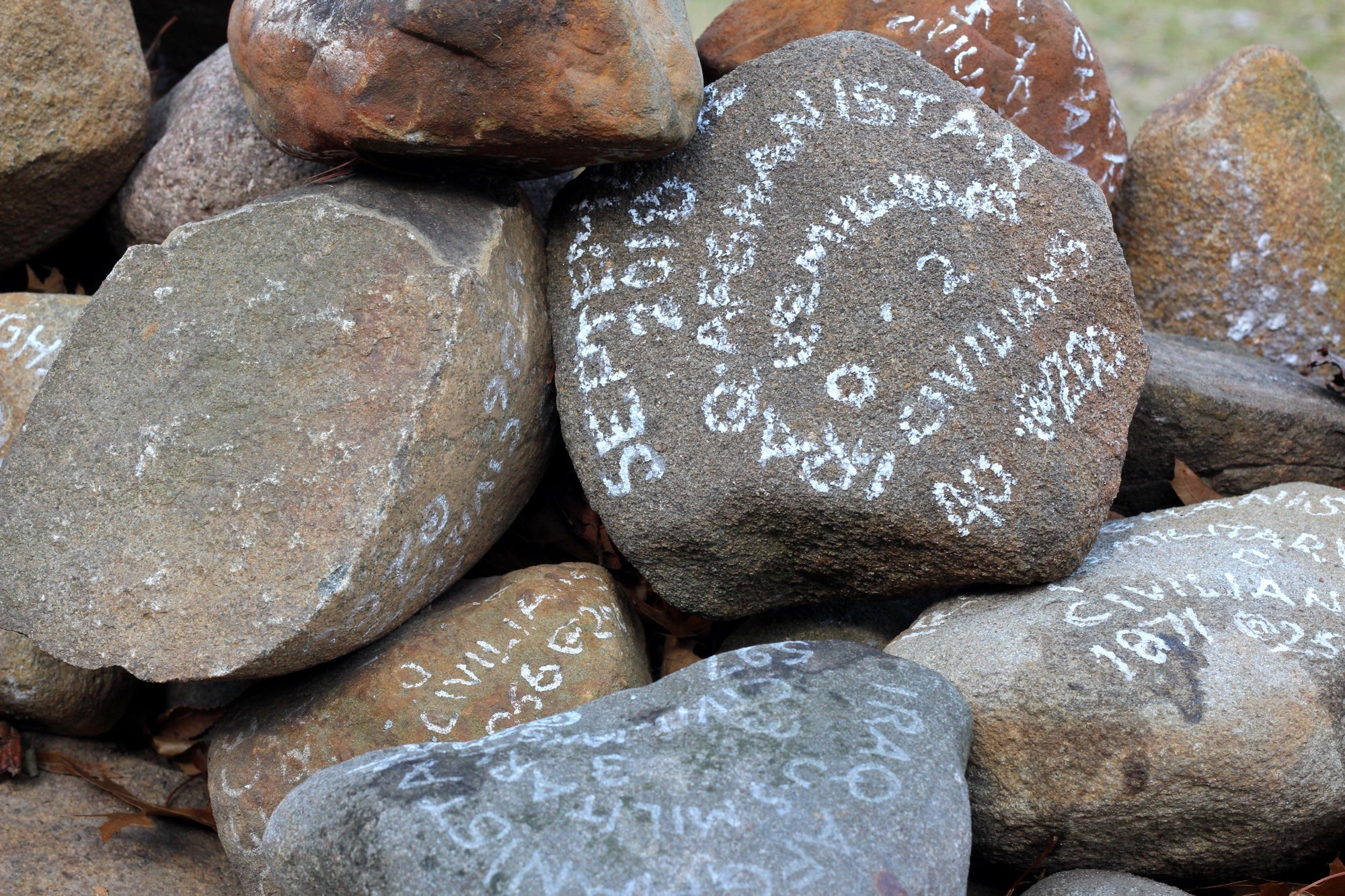 Tug of War – Daily Nutmeg