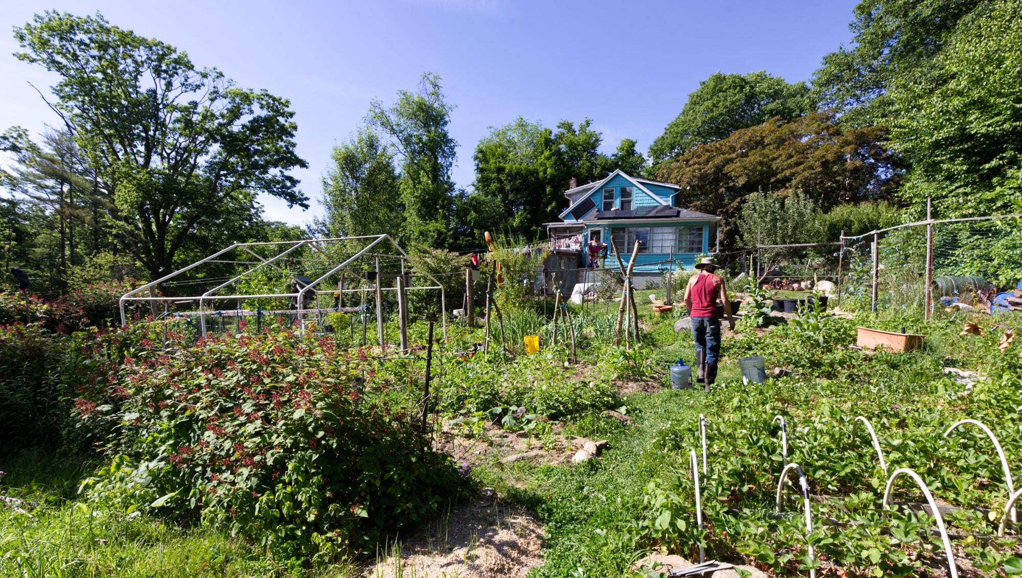 Farm Stand – Daily Nutmeg