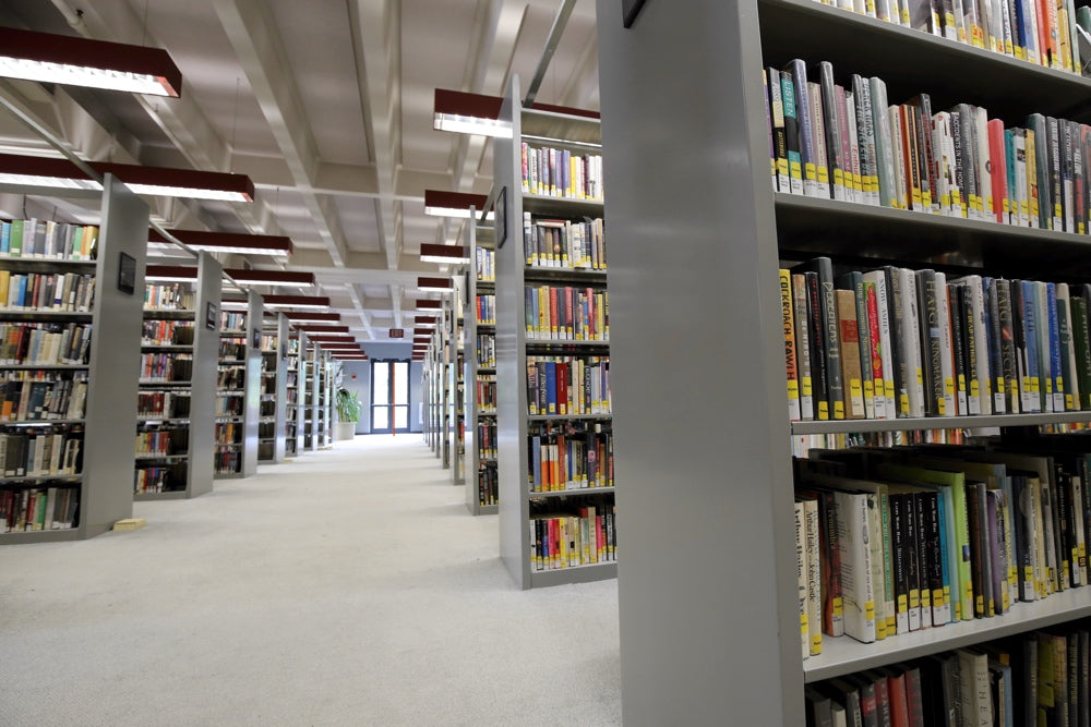 Summer Reading – Daily Nutmeg