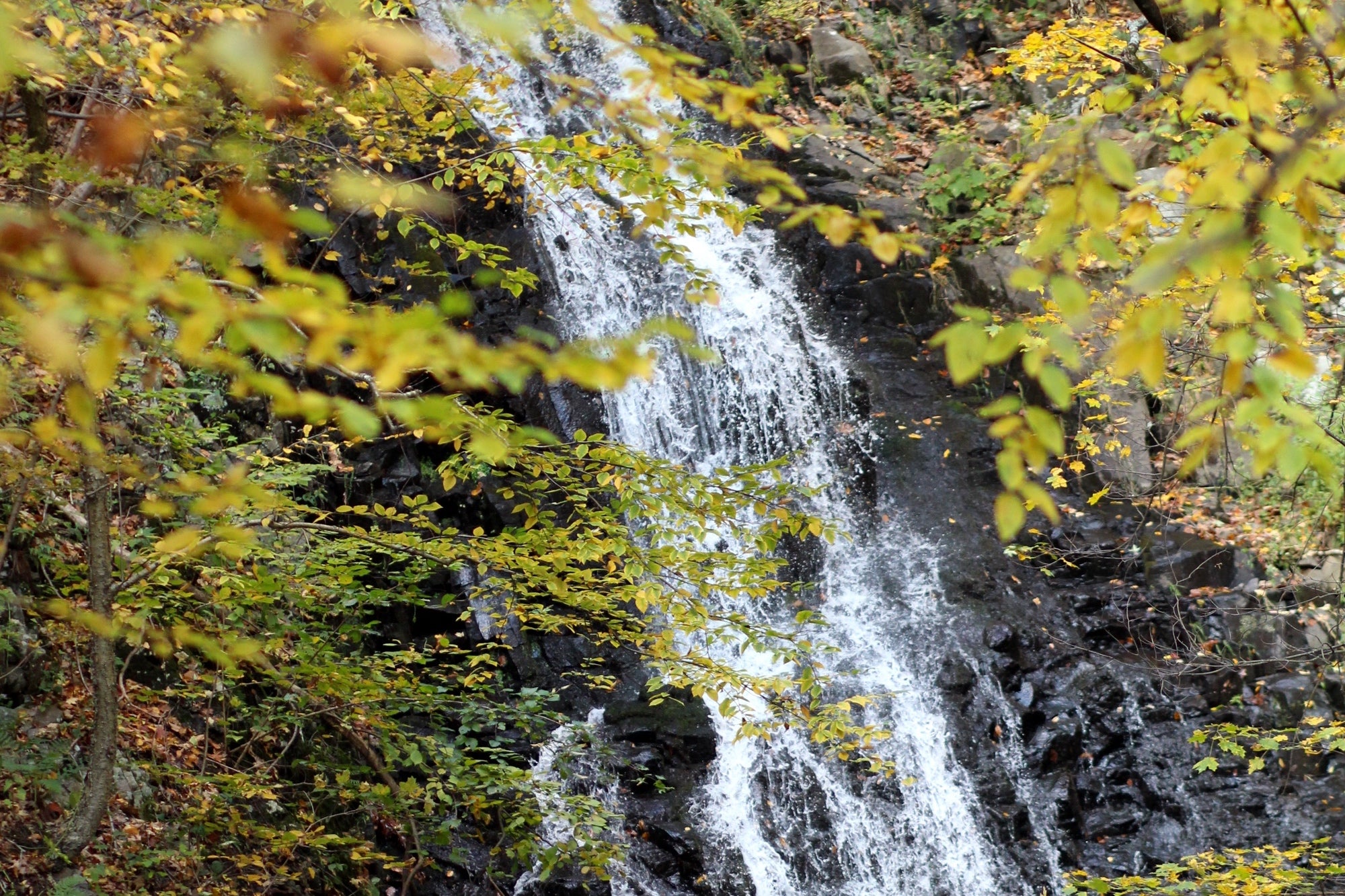 Foot Falls – Daily Nutmeg