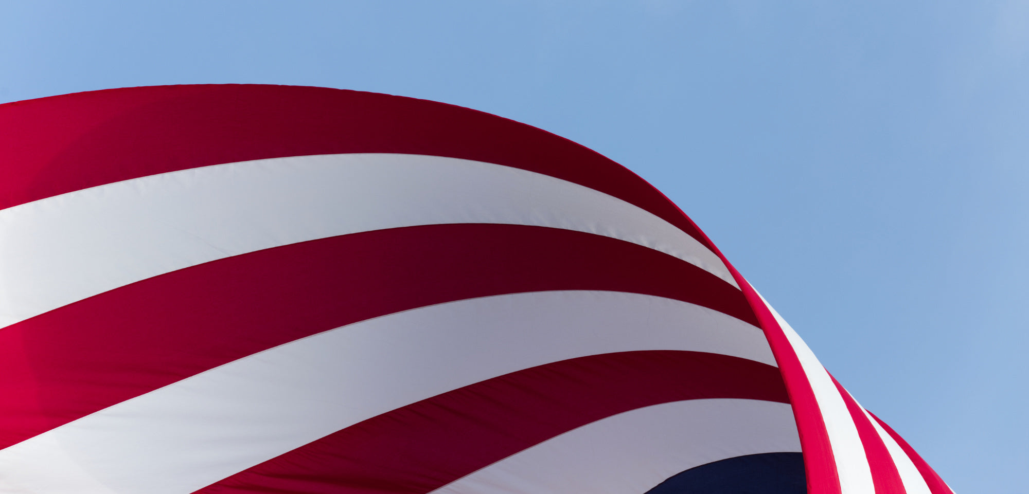 Fly Flag – Daily Nutmeg