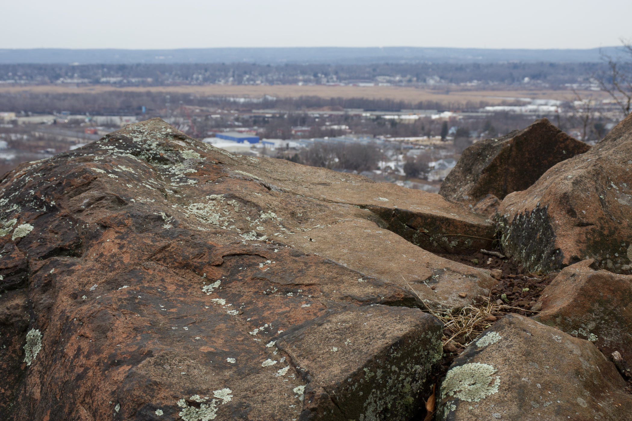 North Rock – Daily Nutmeg